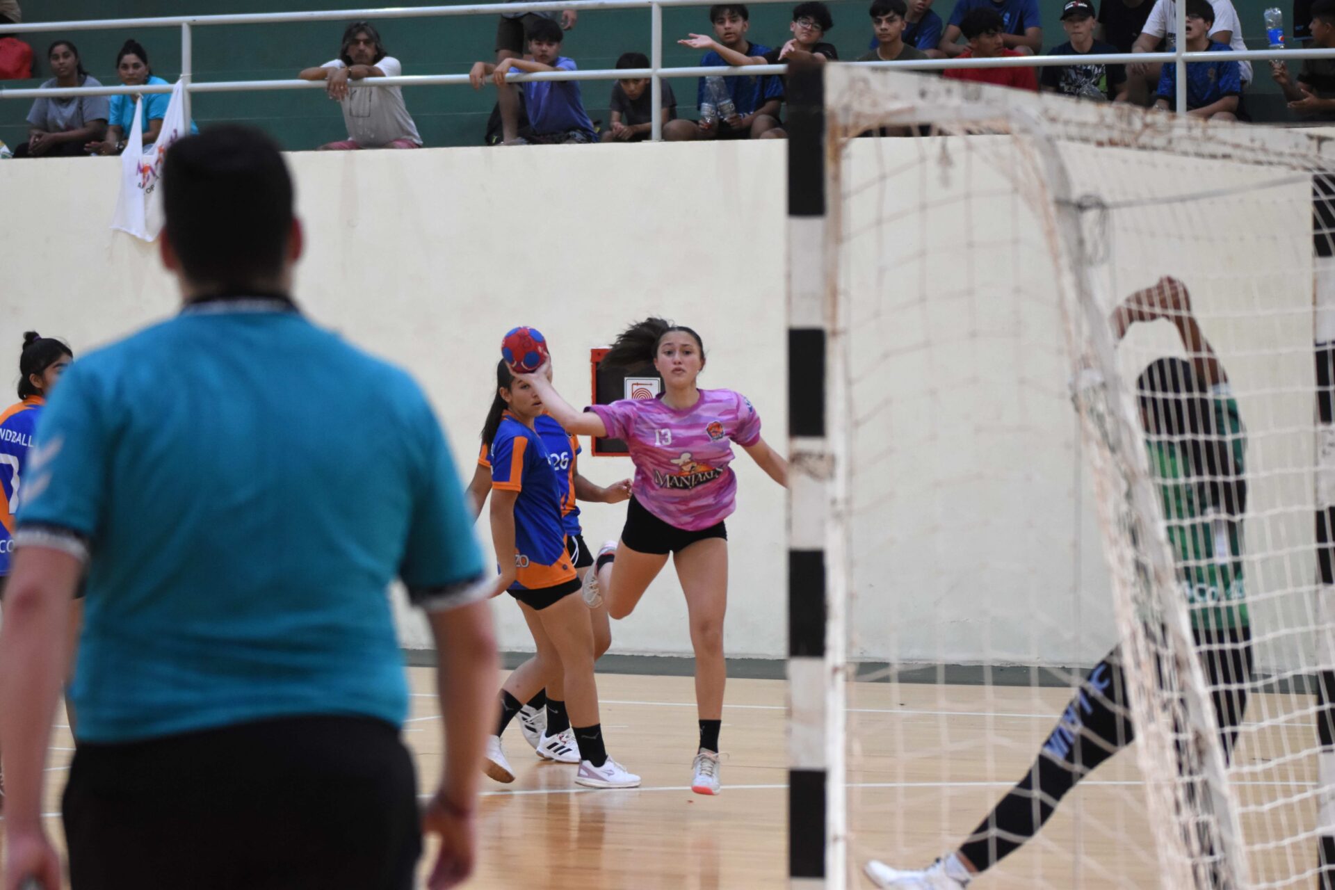 AEMO campeón y sub campeón regional de Handball en categoría menores ...